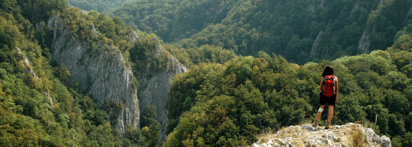 Excursie:Suntem artisti si vanam peisaje de toamna in Cheile ...