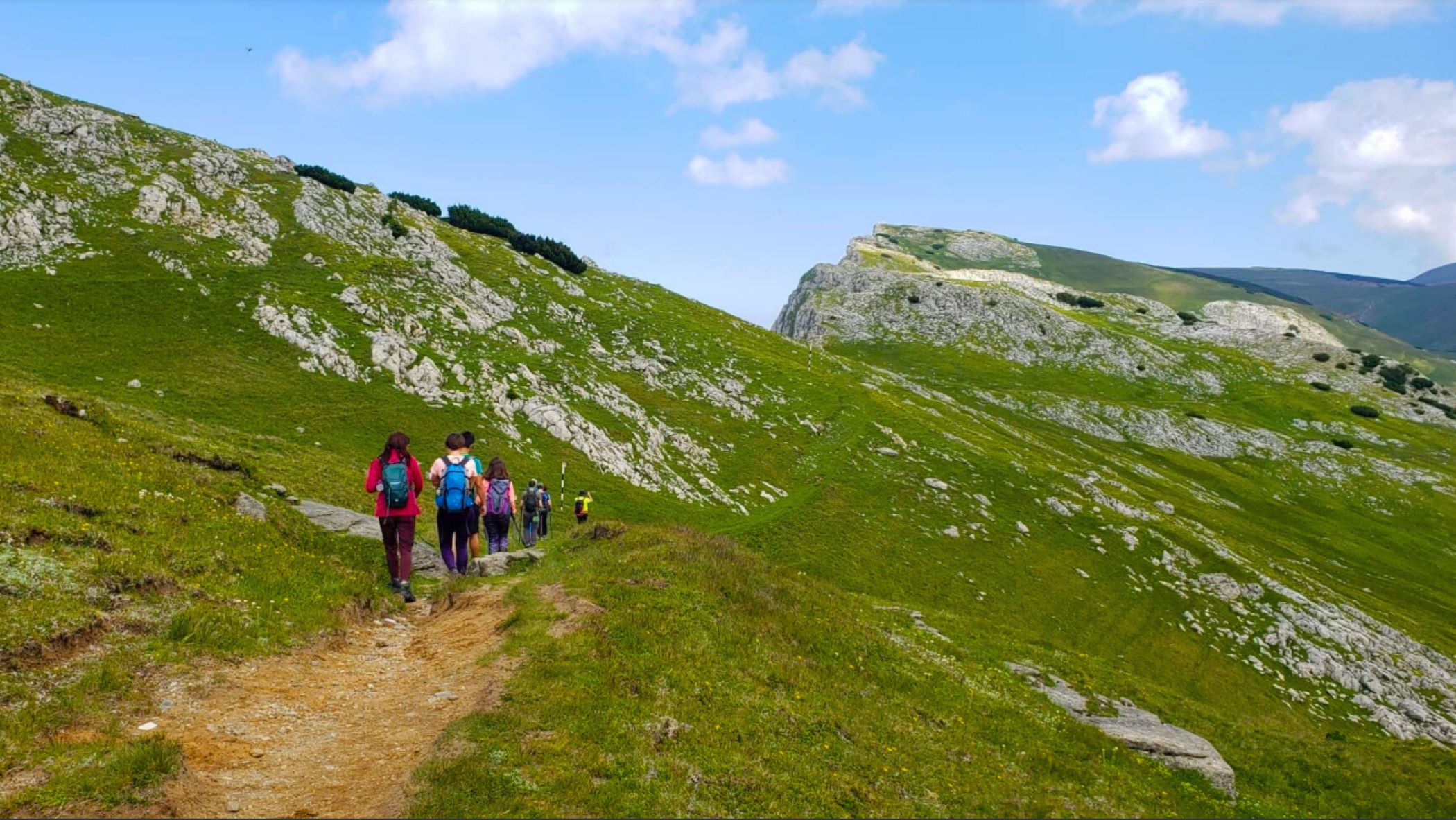 Bujorii din Bucegi: Vârful Bătrâna & Cascada Doamnele | Autocarul Bucuriei